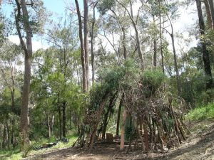 How to make a bush cubby or play house