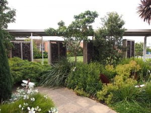 How to make a garden with very little budget but lots of healing spirit